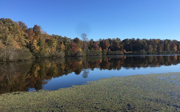 400 Summit Chase, Cedar Grove, TN 38321 | Crexi.com