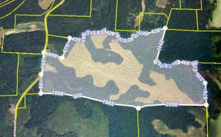 0 Williamson Road, Denmark, TN 38391 | Crexi.com