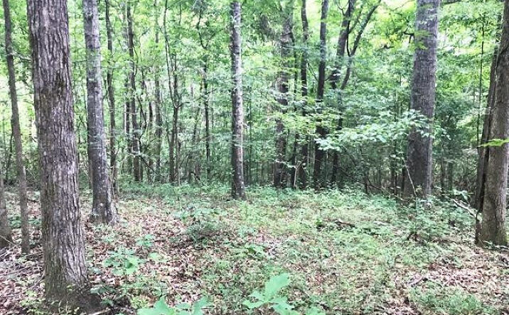 Purdy Road, Selmer, TN 38375 | Crexi.com