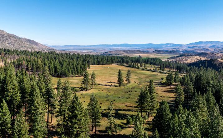 19320 CA-89, Markleeville, CA 96120 | Crexi.com