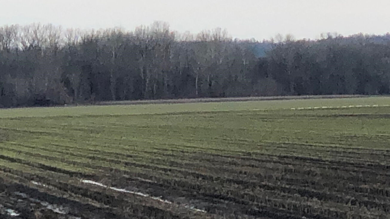 00 Lavinia Rd & Hwy 152, Lavinia, TN 38348 | Crexi.com