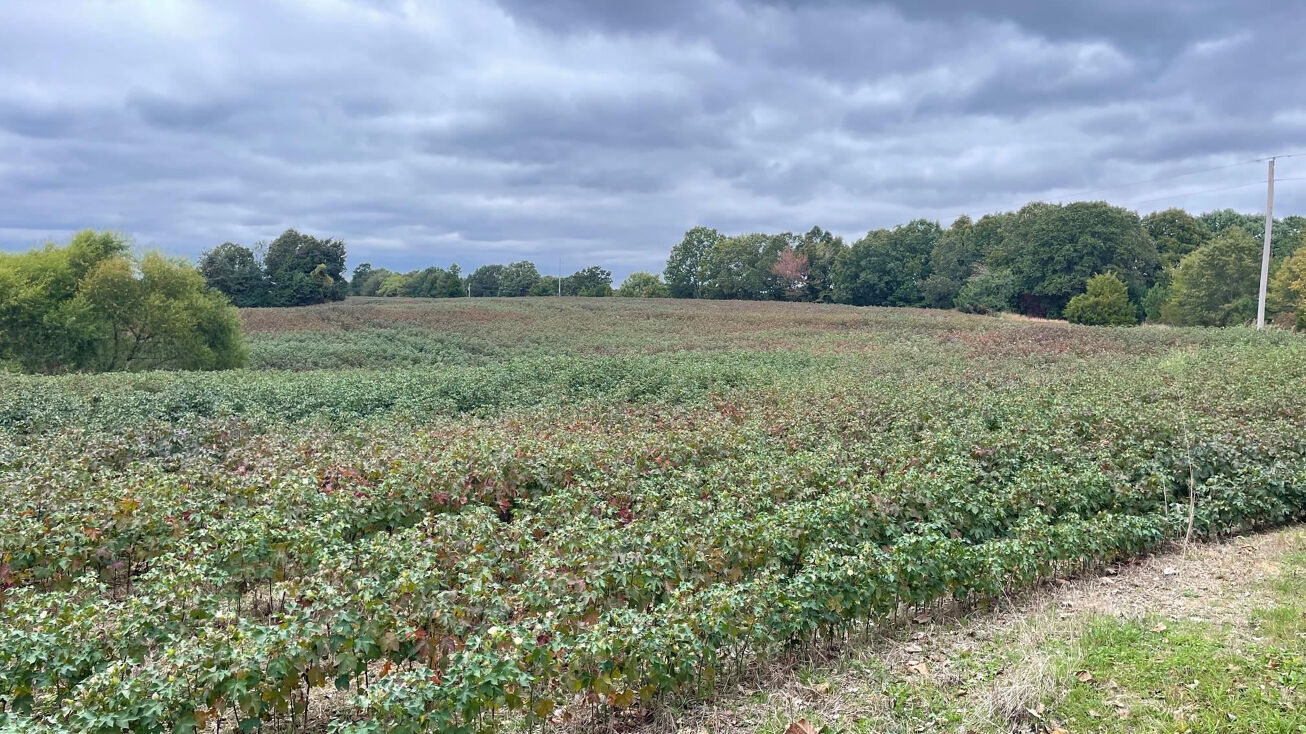 2000 Hopewell Road, Lavinia, TN 38348 | Crexi.com