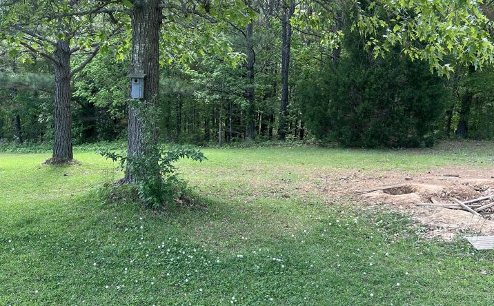 115 Calvin Drive, Jackson, TN 38301 | Crexi.com