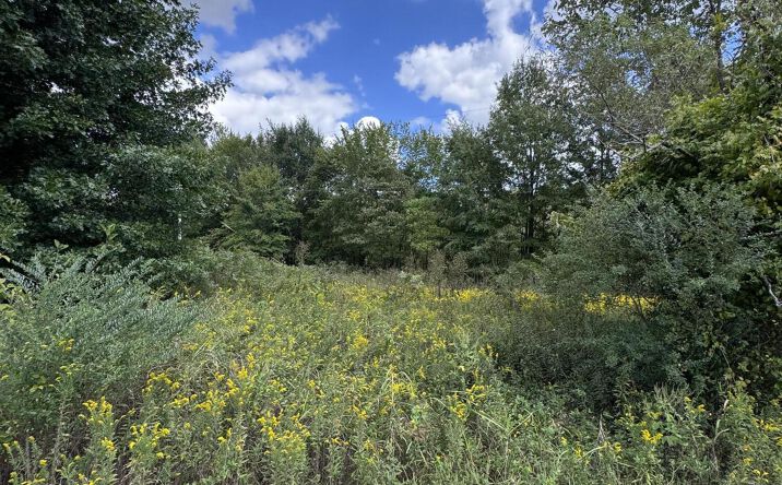 555 Charlie Lewis Road, Trenton, TN 38382 | Crexi.com