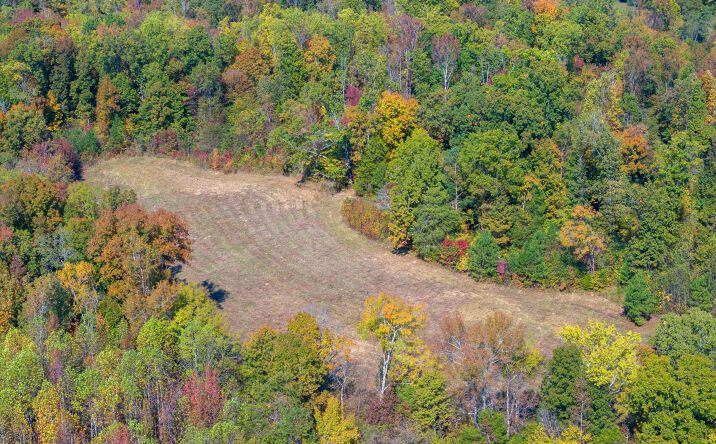 Lori Yarbro - Evans Real Estate | Crexi