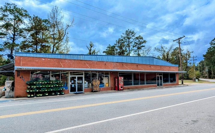 143 Healing Springs Avenue, Millry, AL 36558 | Crexi.com