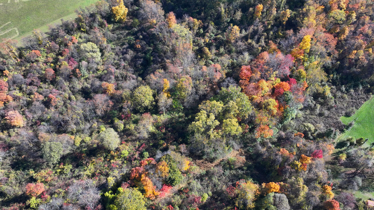 00 State Road, Gibsonia, PA 15044 | Crexi.com