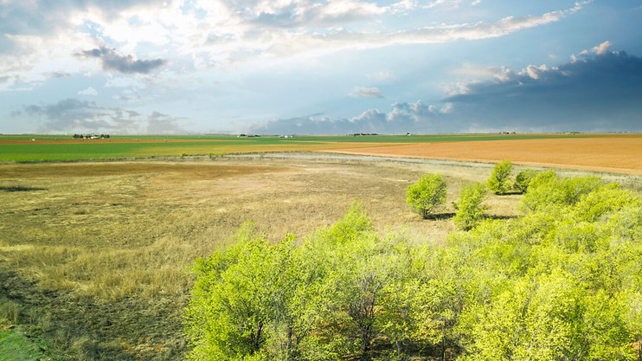Six Ropes Estates, Ropesville, TX 79358 | Crexi.com