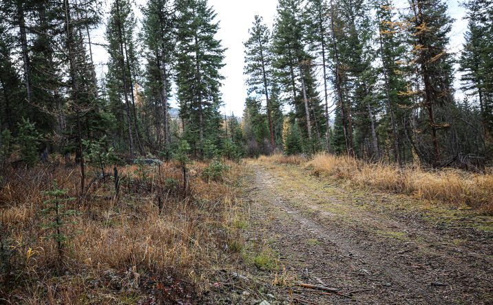 NHN Open Sky Way, Kila, MT 59920 | Crexi.com