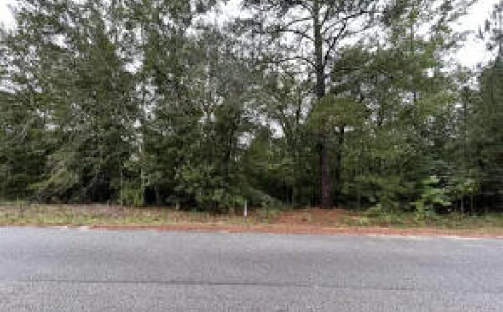 0 Cumbee Trail Road, Ridge Spring, SC 29129 | Crexi.com