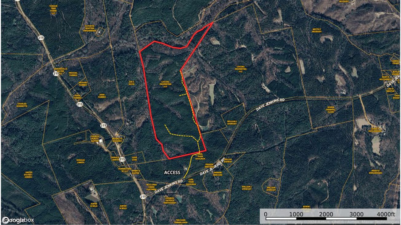 Dave Jenkins Road Tract, Blair, SC 29015 | Crexi.com