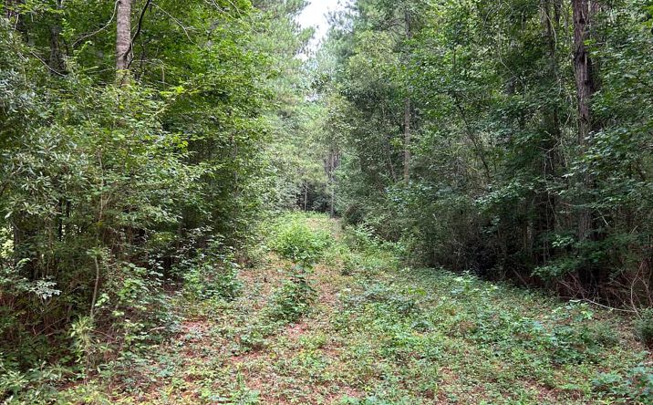 Conway Bypass, Conway, SC 29526 | Crexi.com