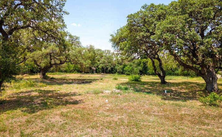 116 Bess St, Boerne, TX 78006 | Crexi.com