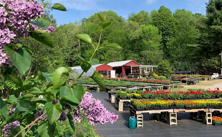 3942 NY-19, Silver Springs, NY 14550 | Crexi.com