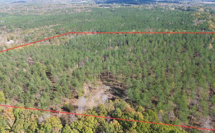 000 WISE RD Haleyville AL 35565 APN: 1205160000012000 | Crexi.com