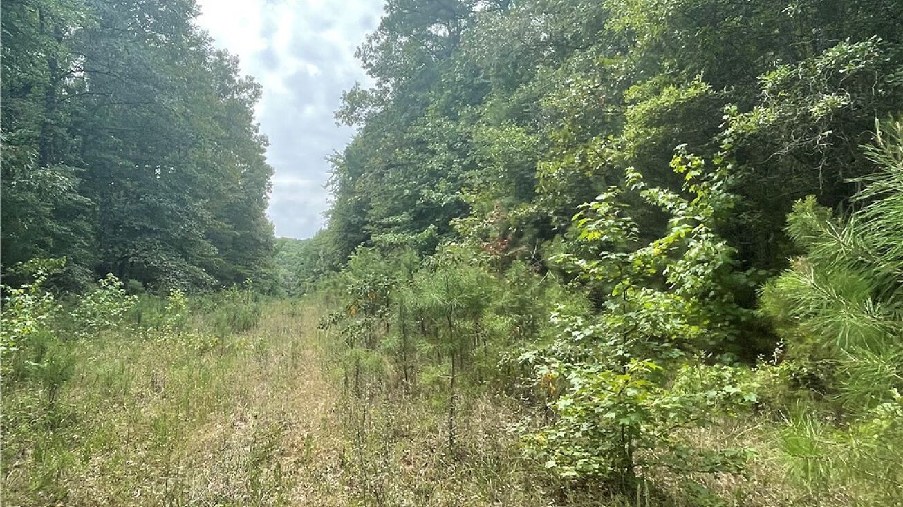 Valley Creek Rd, Cecil, AR 72930 | Crexi.com