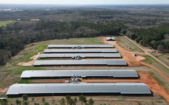 County Rd 6631, Banks, AL 36005 | Crexi.com