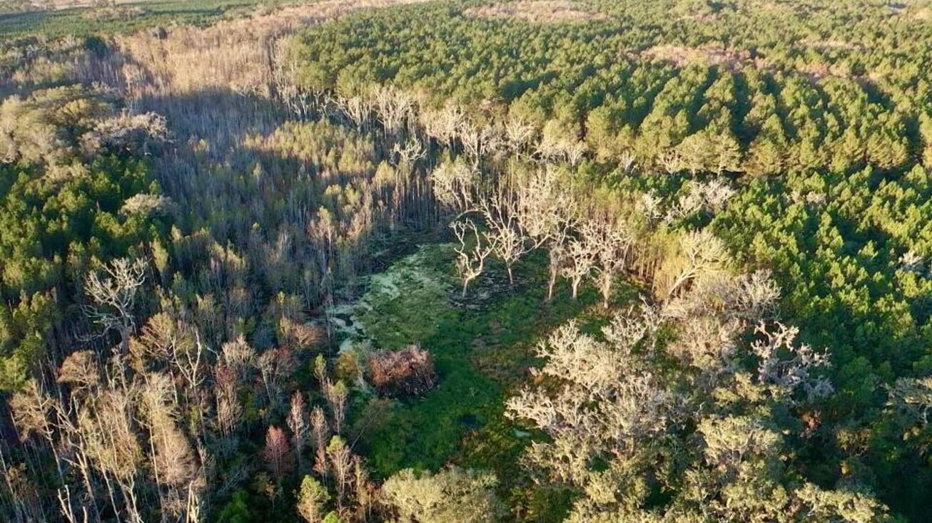 SHELLMAN BLUFF RD NE, Townsend, USA 31331 | Crexi.com