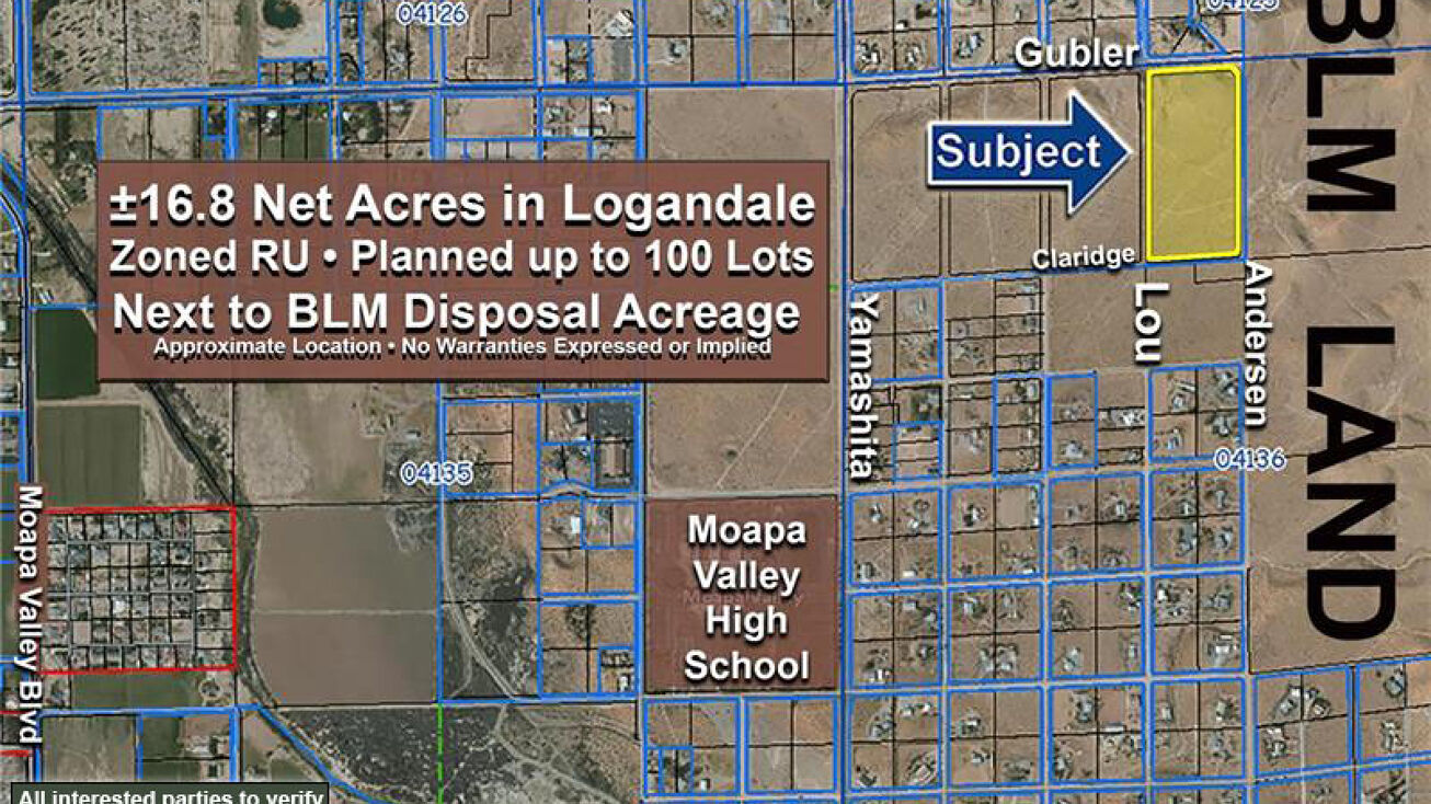 APN 041-36-101-005, Logandale, NV 89021 | Crexi.com