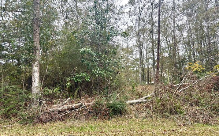 120 Will Thompson Rd, Picayune, MS 39466 | Crexi.com