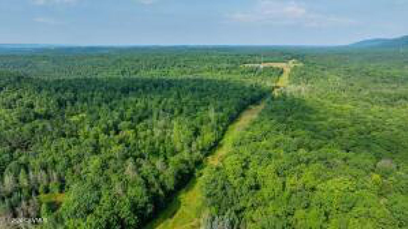 Kyttle Pike Rd, Sweet Valley, PA 18656 | Crexi.com