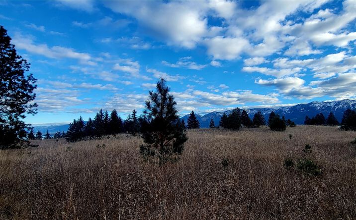 Lot 37 & 38 Southlake Crest, Polson, MT 59860 | Crexi.com