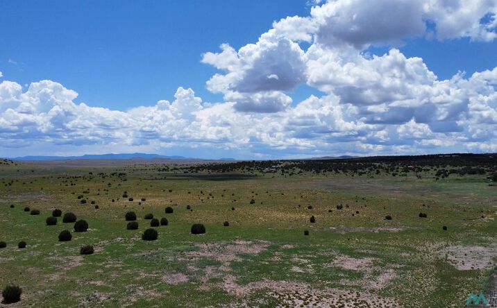 Lot 145 Quail Drive, Quemado, NM 87829 | Crexi.com