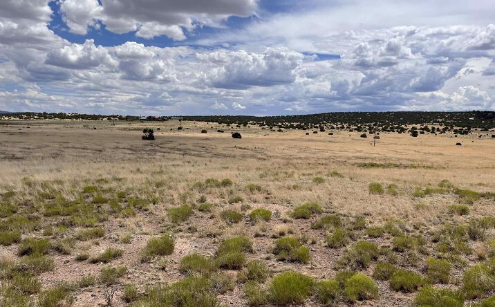 Lot 144 Quail Drive, Quemado, NM 87829 | Crexi.com