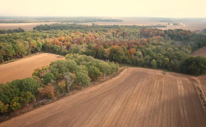 82 Acres, Ruleville, MS 38771 | Crexi.com