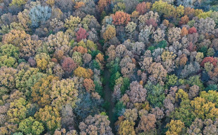 County Highway S56, Russell, IA 50238 | Crexi.com