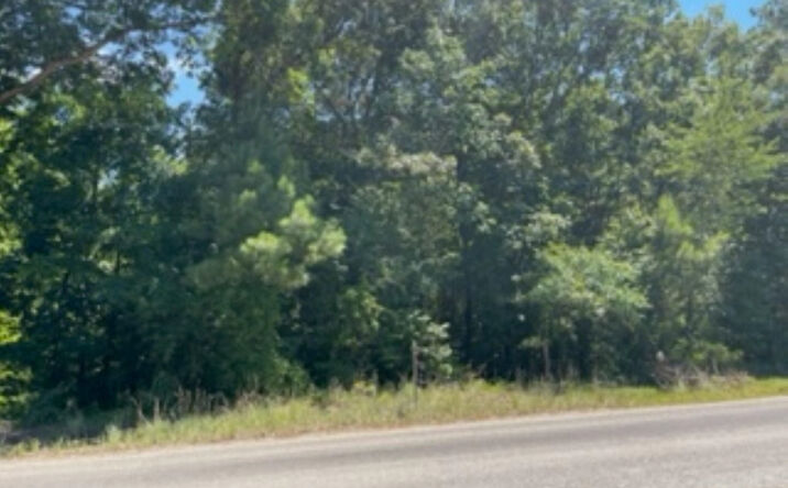 0 MOUNT PINSON Road, Jackson, TN 38301 | Crexi.com