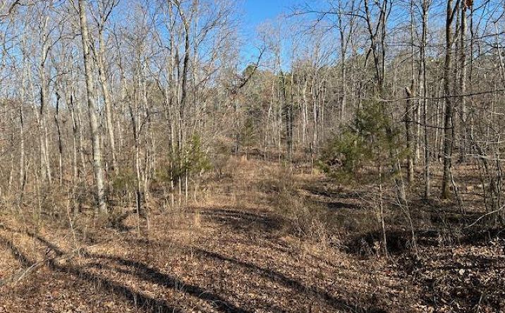 1 CR 204, Glover, MO 63620 | Crexi.com