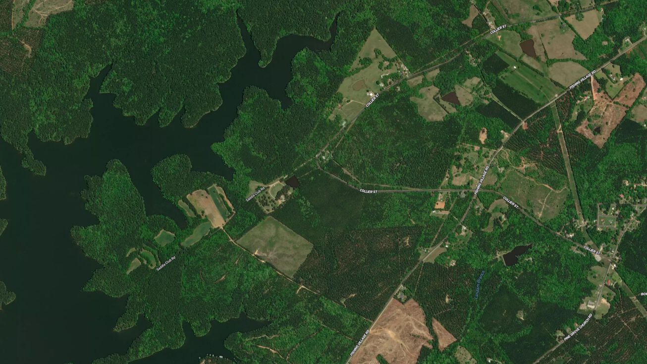 Collier St, Plum Branch, SC 29845 | Crexi.com