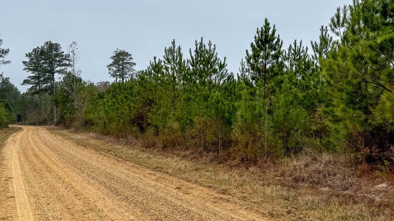 Hampton, AR 71744 | Crexi.com