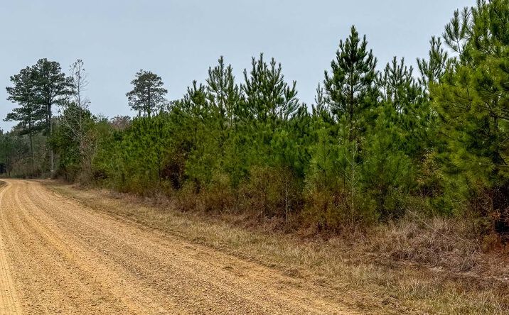South Hampton 49, Hampton, AR 71744 | Crexi.com