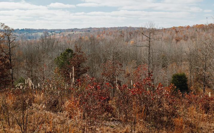 New Concord, Hamlin, KY 42076 | Crexi.com