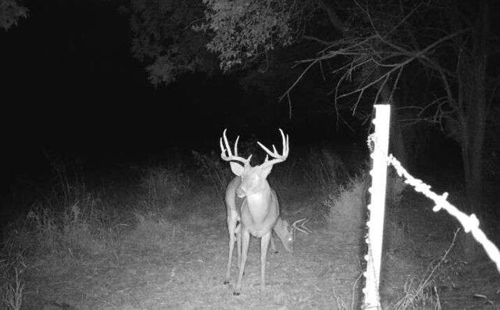 00000 RR, Cedar Vale, USA 67024 | Crexi.com