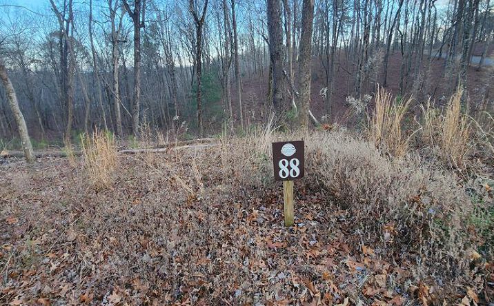 Lot 88 Hilton Drive, Ellijay, GA 30540 | Crexi.com