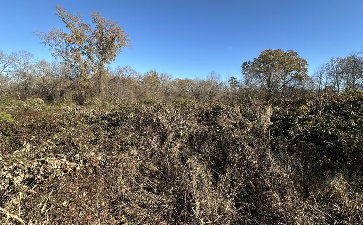 Raleigh, NC Commercial Real Estate for Sale | Crexi.com