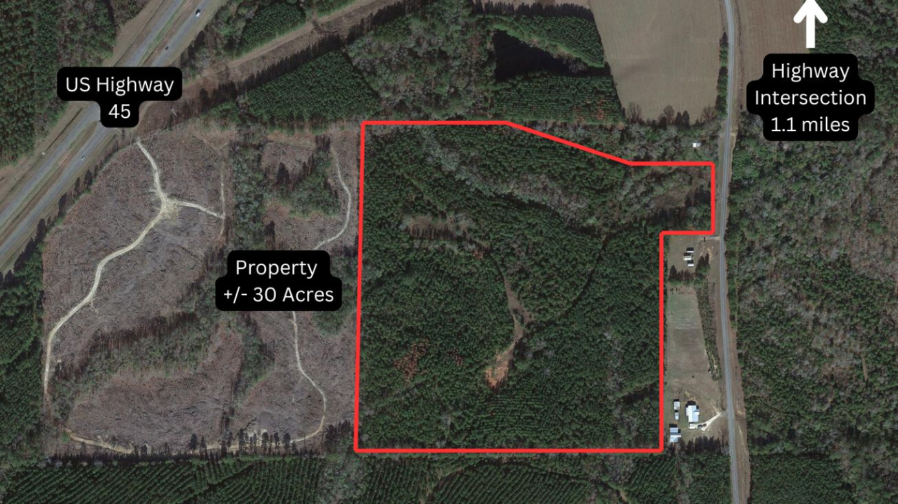 3338 County Rd 110, Shubuta, MS 39360 | Crexi.com