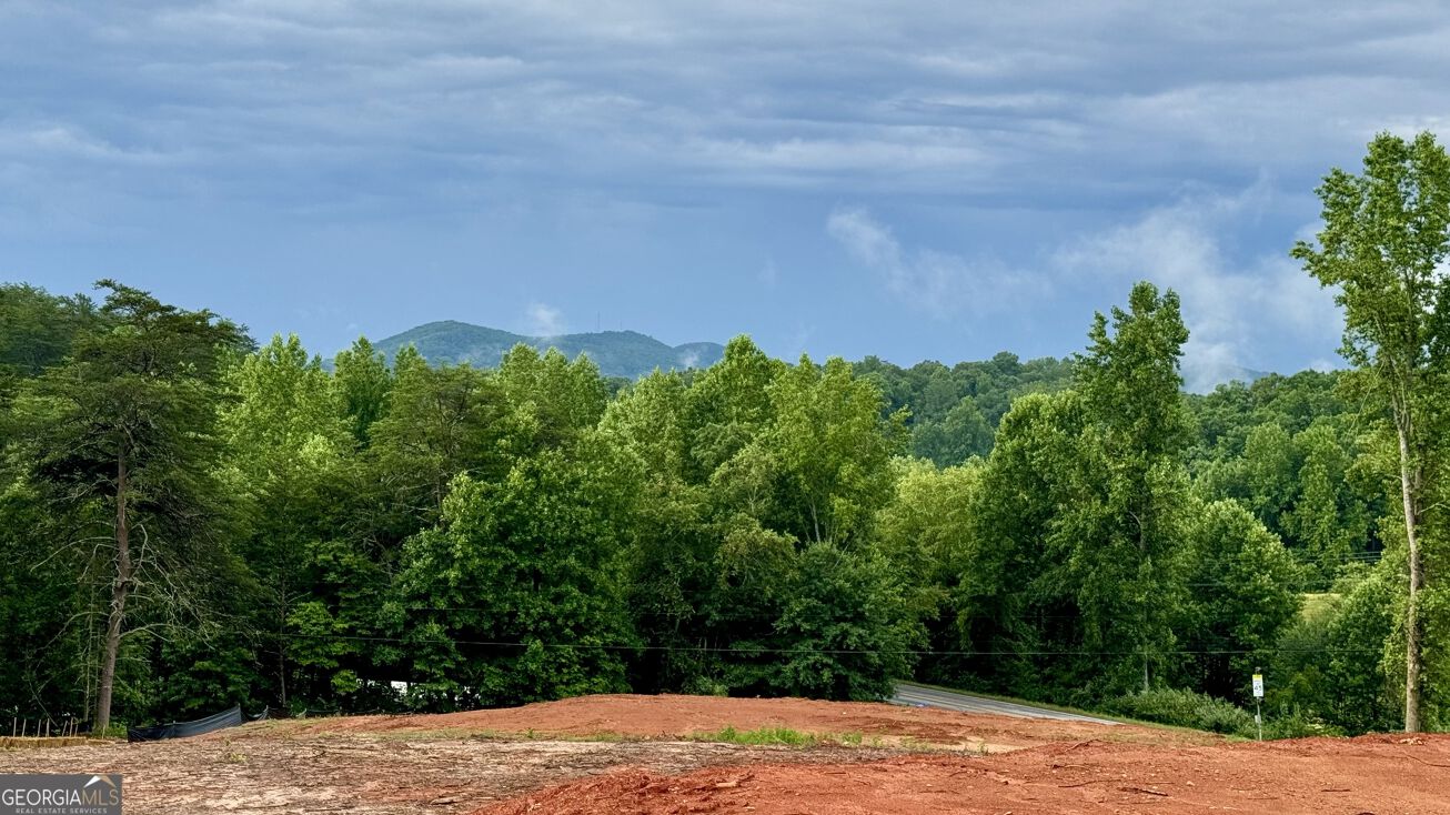 25 Caudell Dr, Cleveland, GA 30528 | Crexi.com