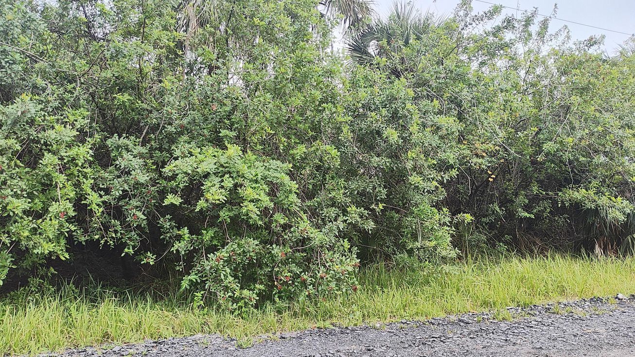 3395 SW Fitzpatrick Avenue, Palm Bay, FL 32908 | Crexi.com