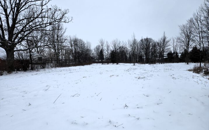 0 Downey Road, Mussey Twp., MI 48014 | Crexi.com