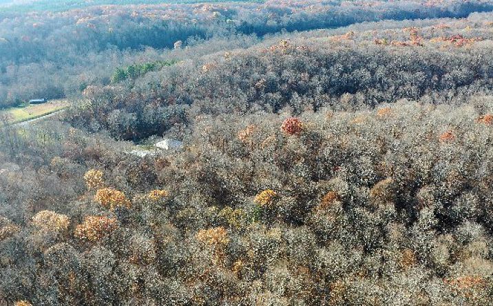 0 Tidwell Hollow Rd, Iron City, TN 38463 | Crexi.com