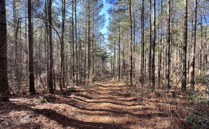 Crane Rd, Dawsonville, GA 30534 | Crexi.com