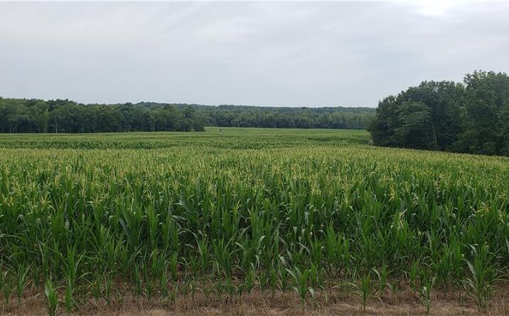 Monroe Rd 117 Road, Moberly, MO 65263 | Crexi.com