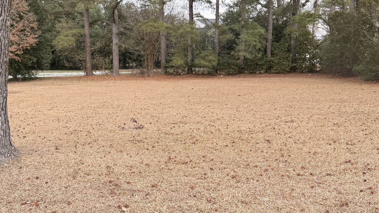 300 N Wakefield St, Zebulon, NC 27597 | Crexi.com