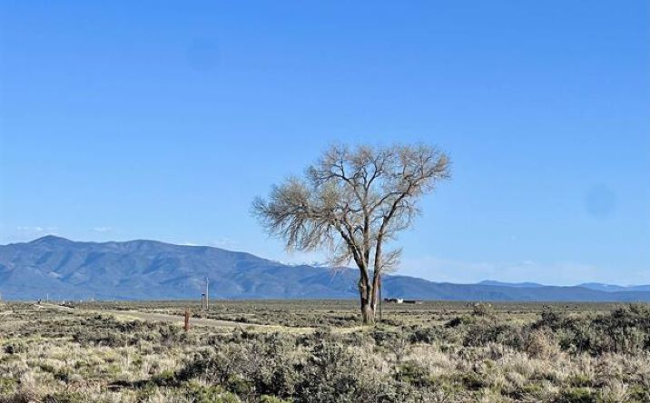 Lone Tree Lot 1 Greater World, Taos, NM 87571 | Crexi.com