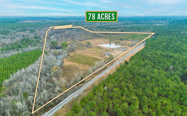 McRae Scotland Rd, McRae-Helena, GA 31055 | Crexi.com