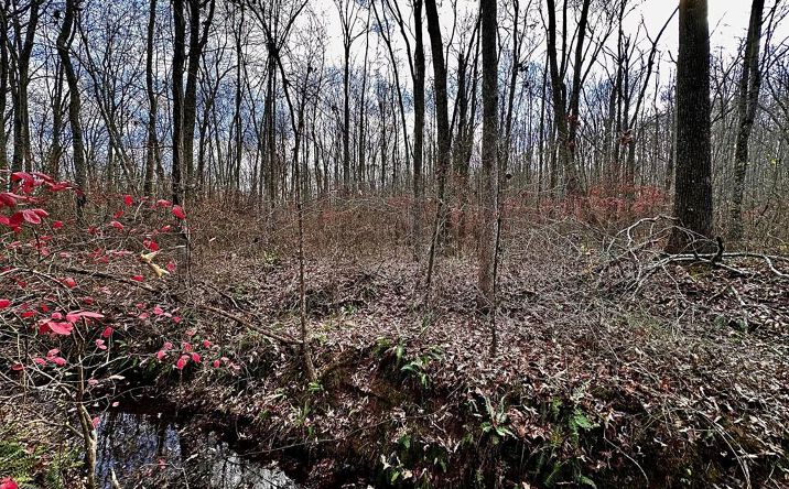 0 Rice Lane, Springville, TN 38256 | Crexi.com